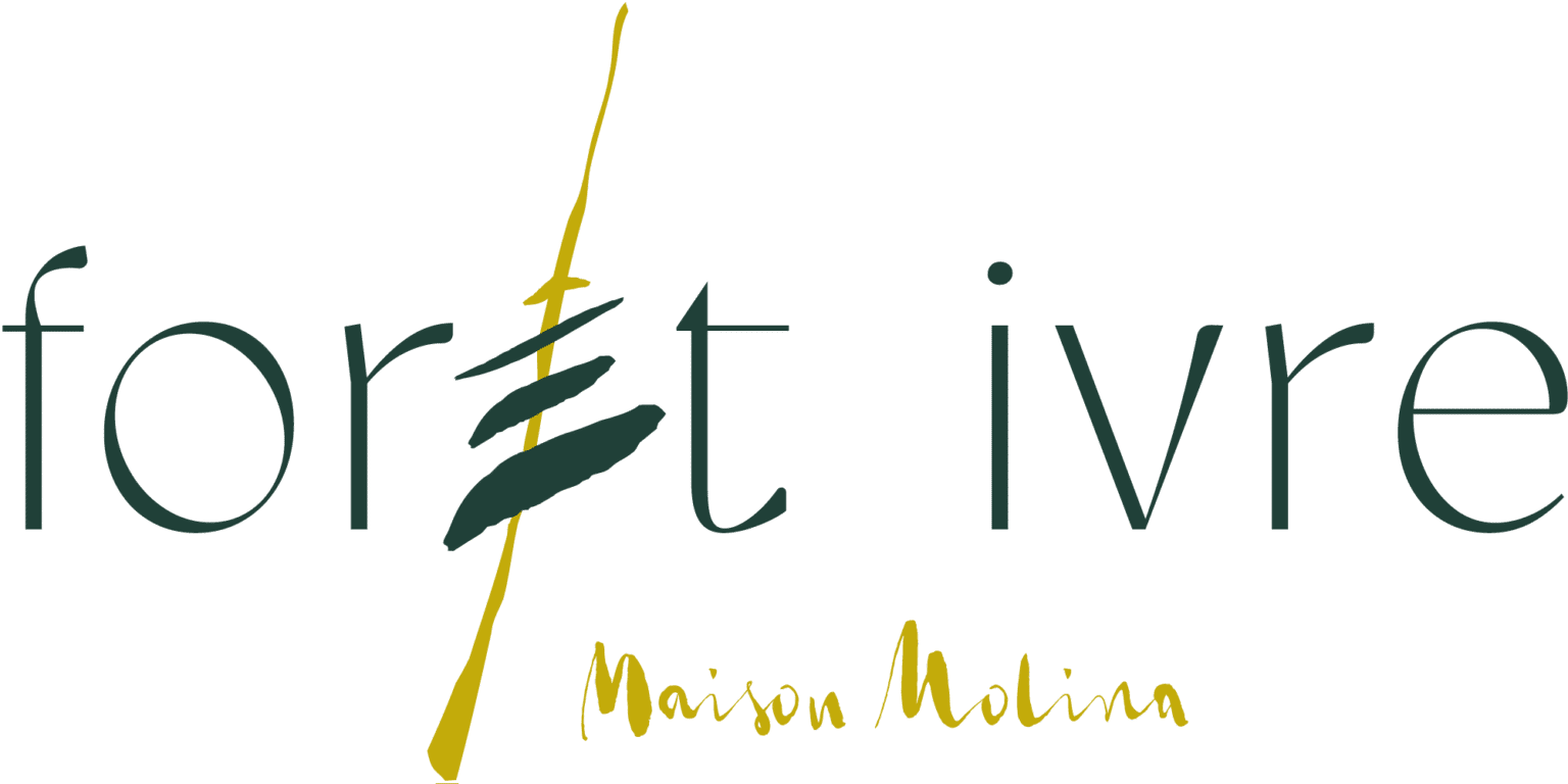 Frederic Molina* au Moulin de Léré